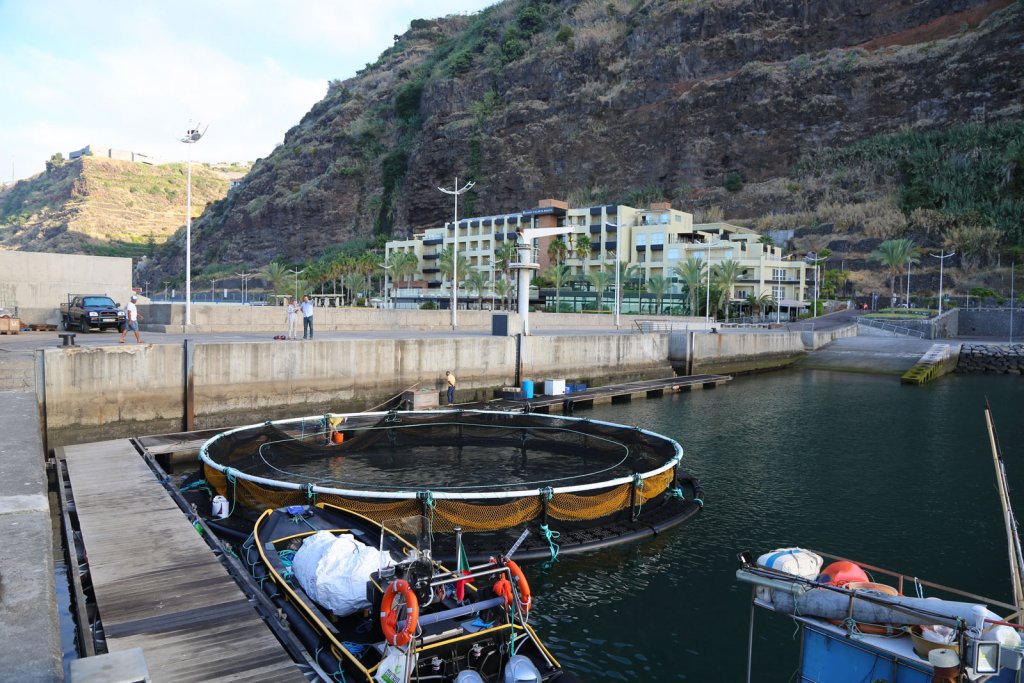 Follow our blog … learn about fish farming in Madeira - Monaco Explorations