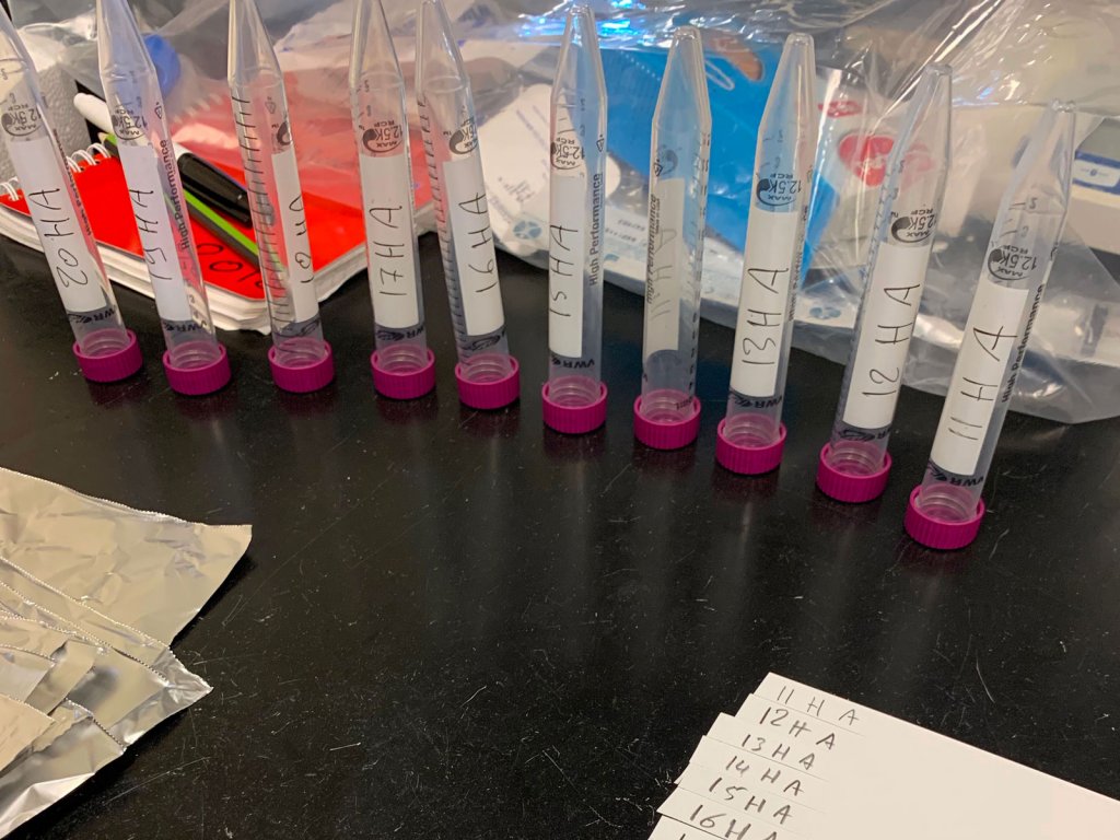 Preserving Coral Samples in the Lab - Monaco Explorations