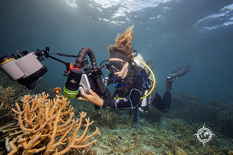 MISSION PALAU 2019 - PACIFIC - Monaco Explorations